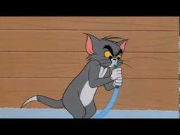 Tom and Jerry - Filet Meow | Quizalize